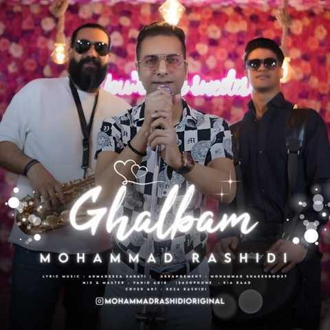 دانلود فول آلبوم محمد رشیدی ♪ پلی لیست محمد رشیدی